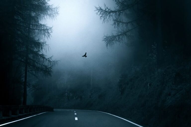America's Most Haunted Roads: 9 Spooky Drives Across the Country